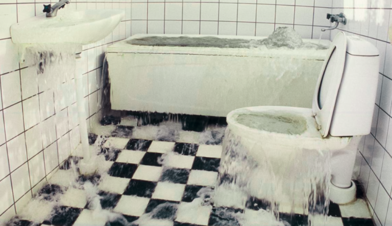 Sewage Backup In Tub And Toilet: How To Fix Them