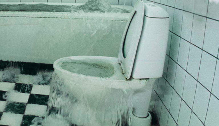 Toilet Backing Up? Contact our Professional 24/7 Plumbers